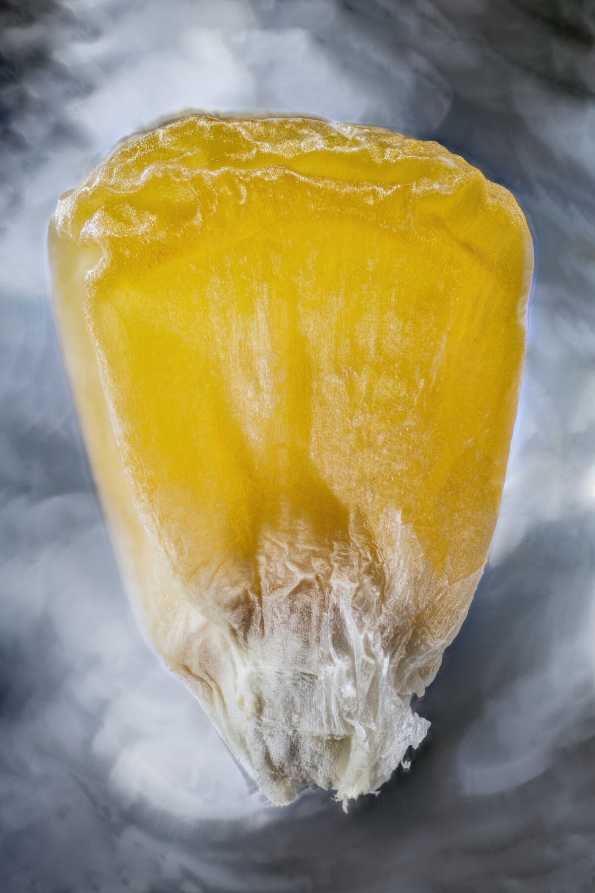 A hoax, a prank, an internet scam, an act of agricultural bio-terrorism ...