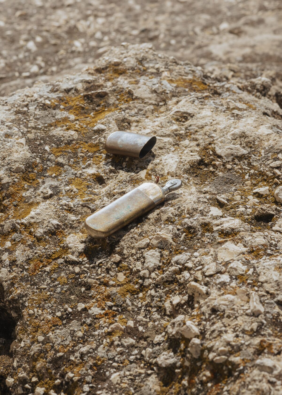 Fear guards the lemon grove – Klaus Pichler