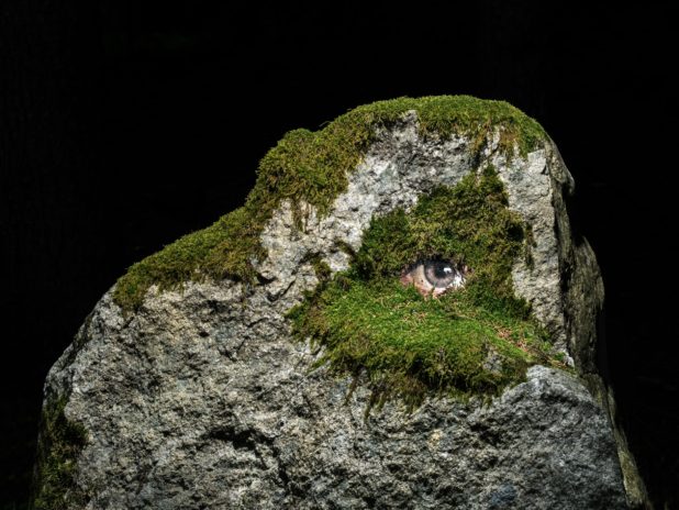klauspichler – Klaus Pichler Photography
